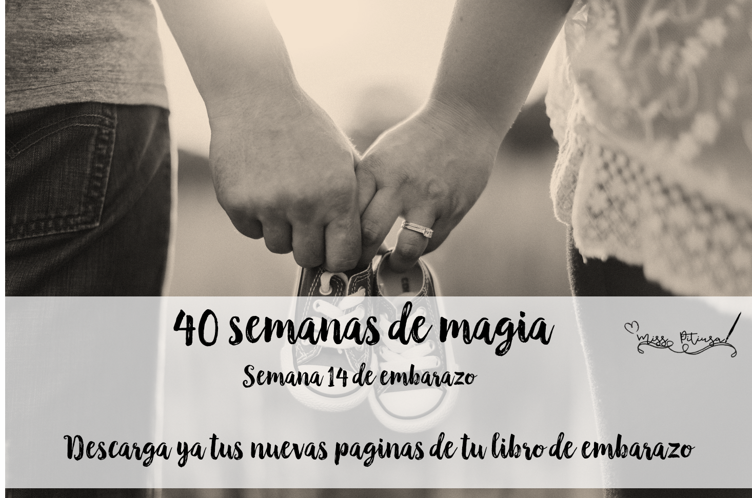 Miss Pitiusa: Semana 14 de Embarazo