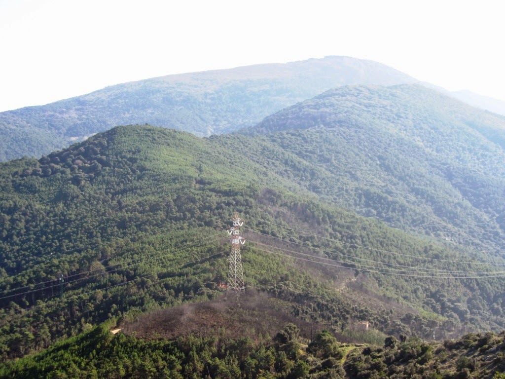 MagoZichele: Il Monte Pisano