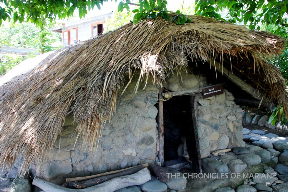 The Majestic Banaue Rice Terraces and Bontoc Museum | The Chronicles of ...