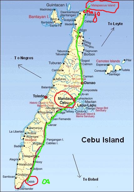 Philippinos - Wheelie: Cebu - Cebu City - Oslob - Cebu City - Majo ...