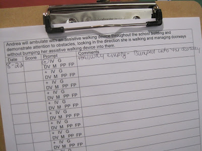 Some IEP data sheets - Breezy Special Ed