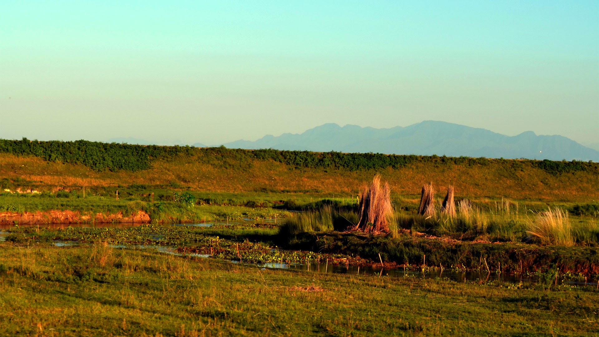 Nepali Kheti | Nepali Walls
