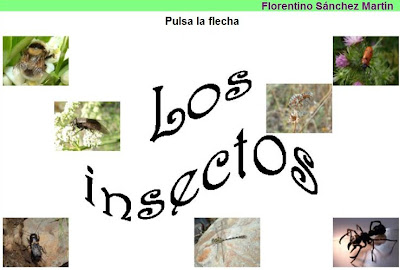 TIC TIRIRITIC CAÑON: 2012