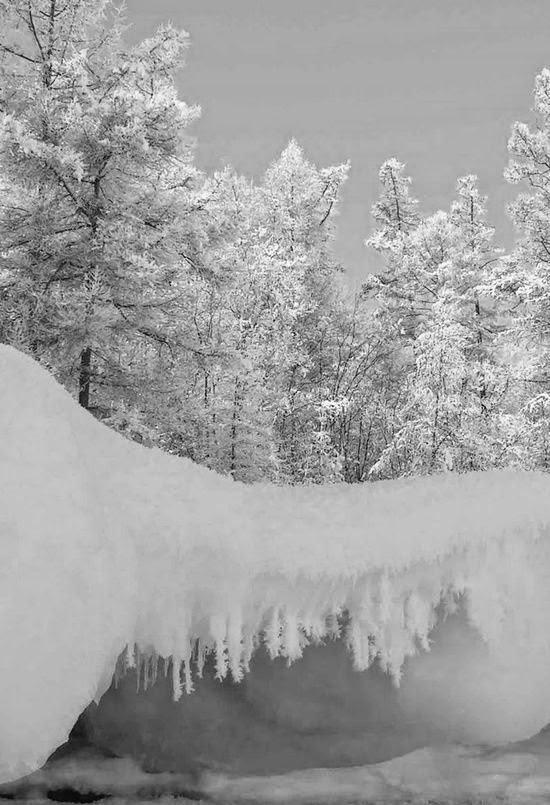 Awesome Winter snow scene ~ Stunning nature