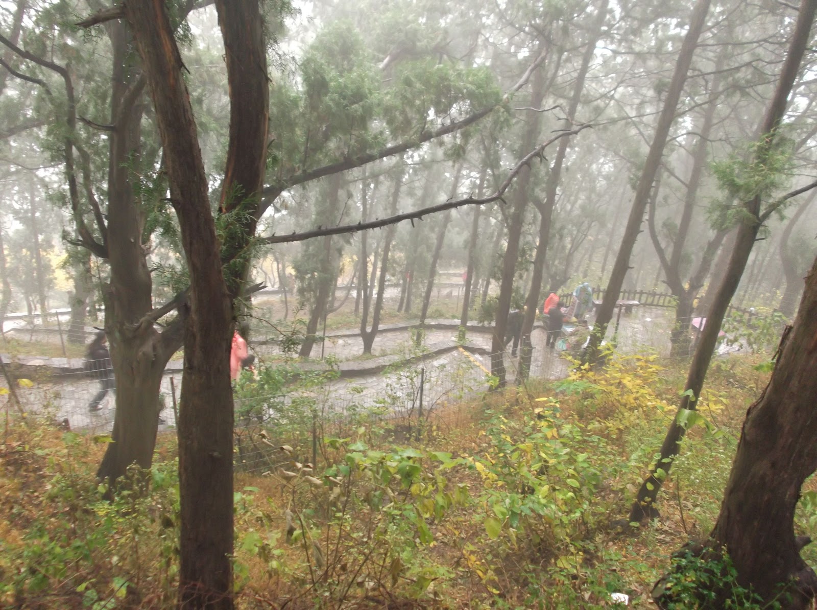 Horizons of the World: Fragrant Hills