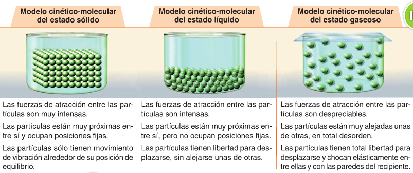 El Patio de las Ciencias Naturales: Unidad 2. Tarea 2.- Los cambios de ...