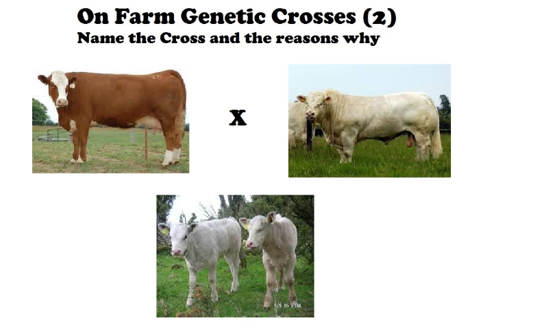 Magh Ag Sci: May 2015