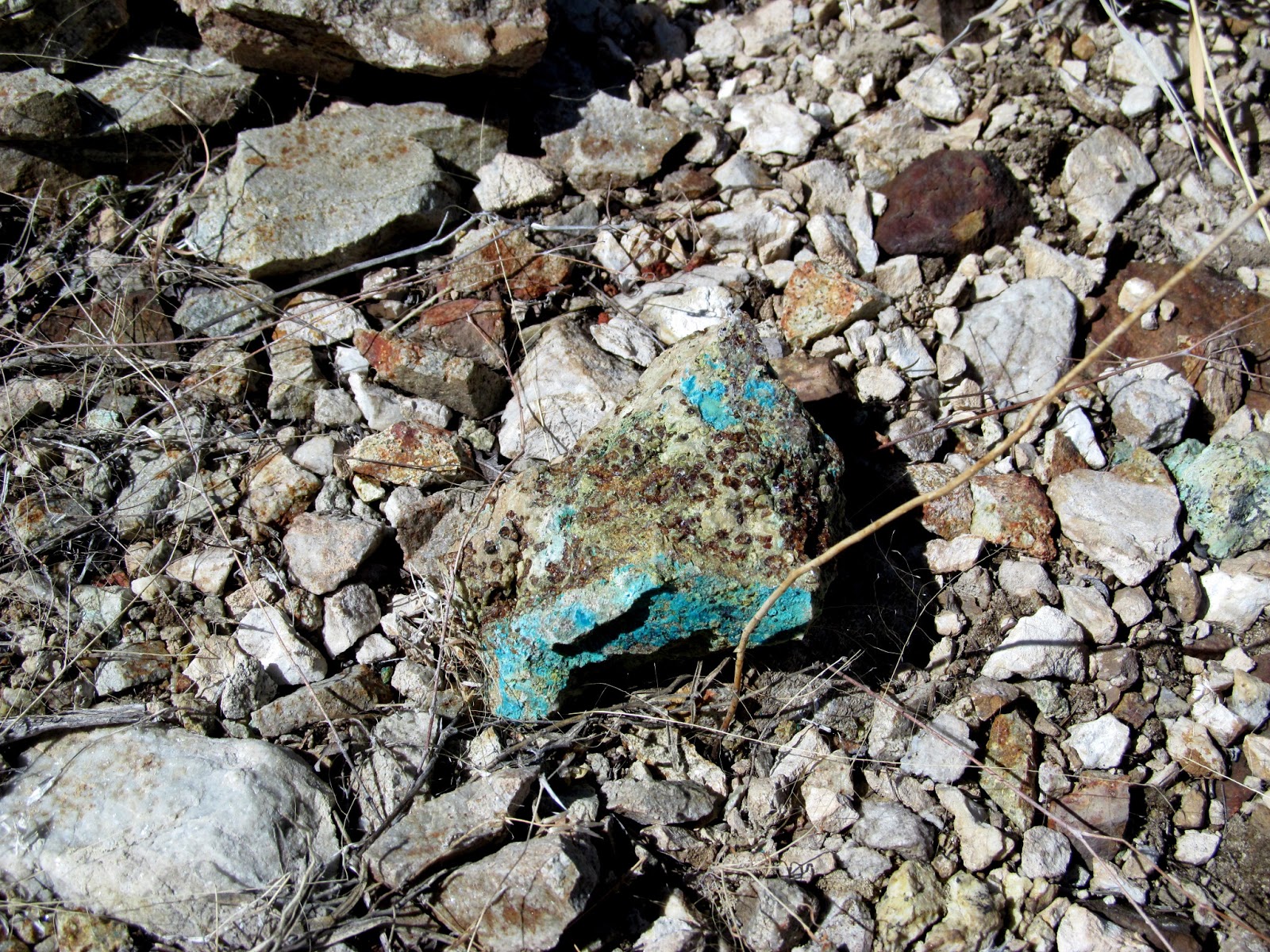 Blogging from the Boot Heel: March 2013