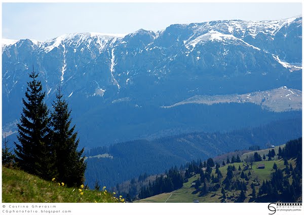 CG Photo Folio - Art Photography Portfolio: Primavara la munte ...