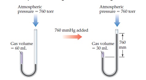 Science Concepts and Questions (K to 12): Laws of Gases: Boyle's Law