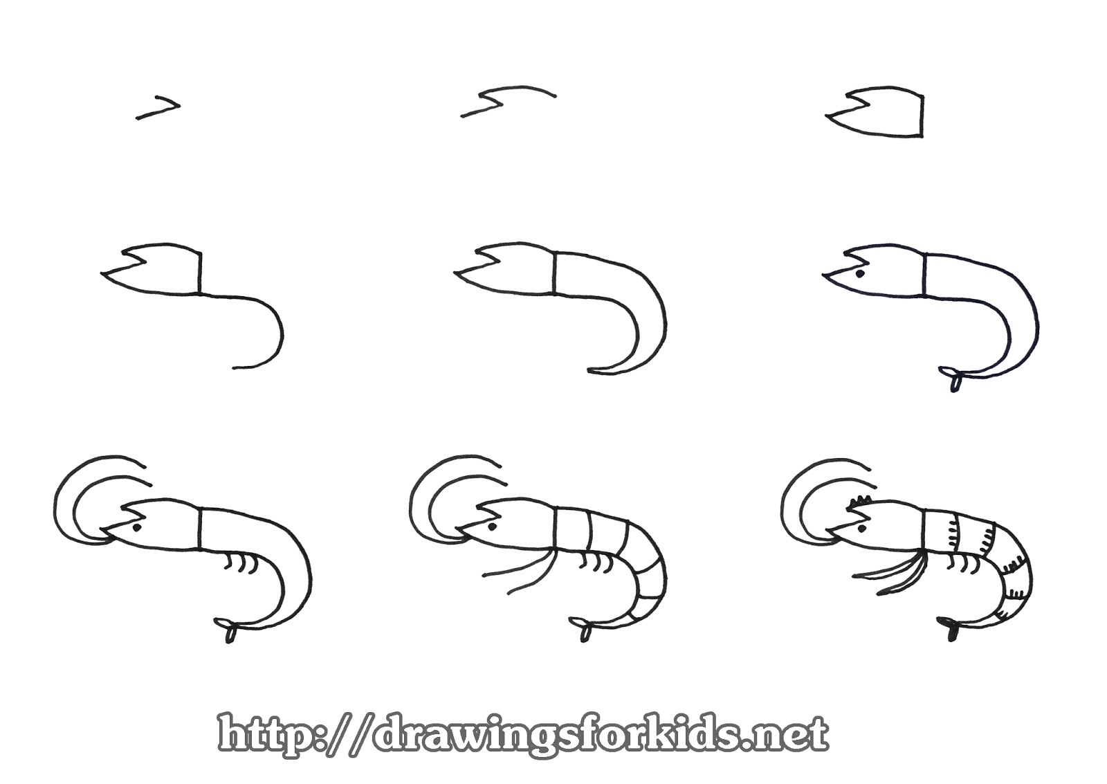 How to draw Shrimp & Lobster for kids