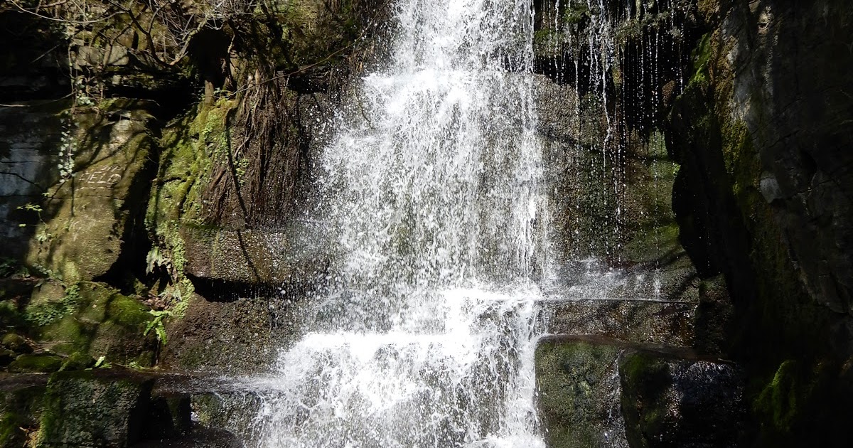 Walk from Leyburn to Harmby Waterfall | SkyBlueSophie