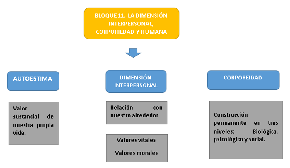 Socio Antropología: LA DIMENSIÓN INTERPERSONAL, CORPOREIDAD Y HUMANA