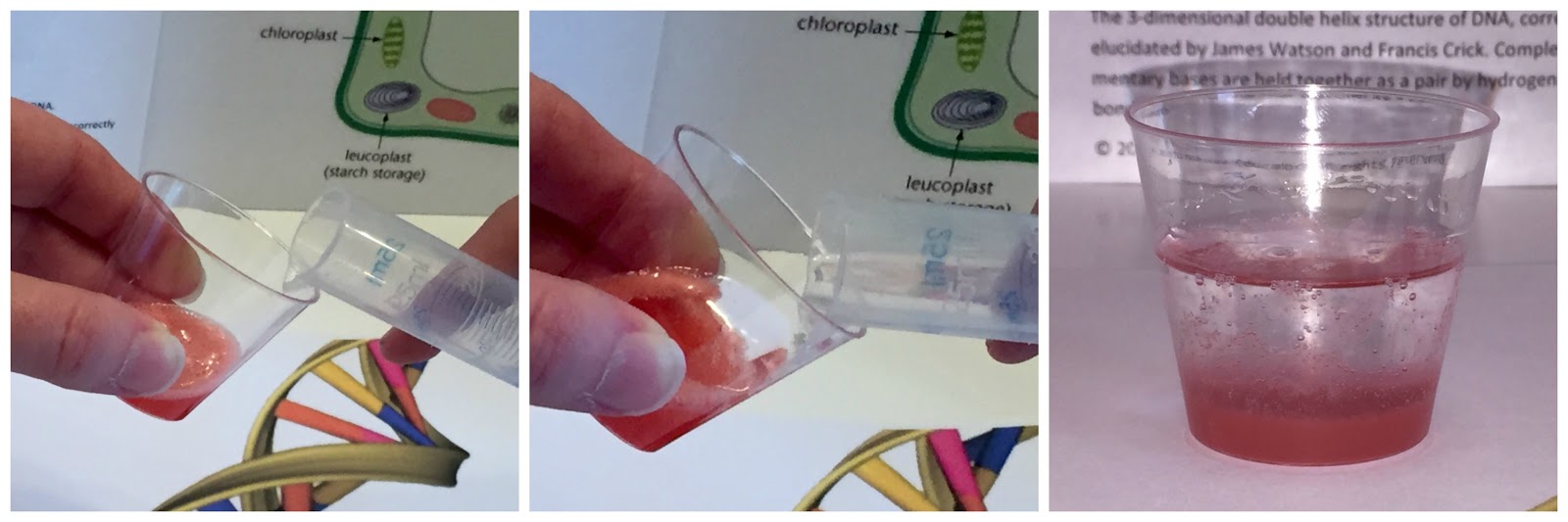 Adventures In Storytime (and Beyond): DNA Extraction STEAM Program