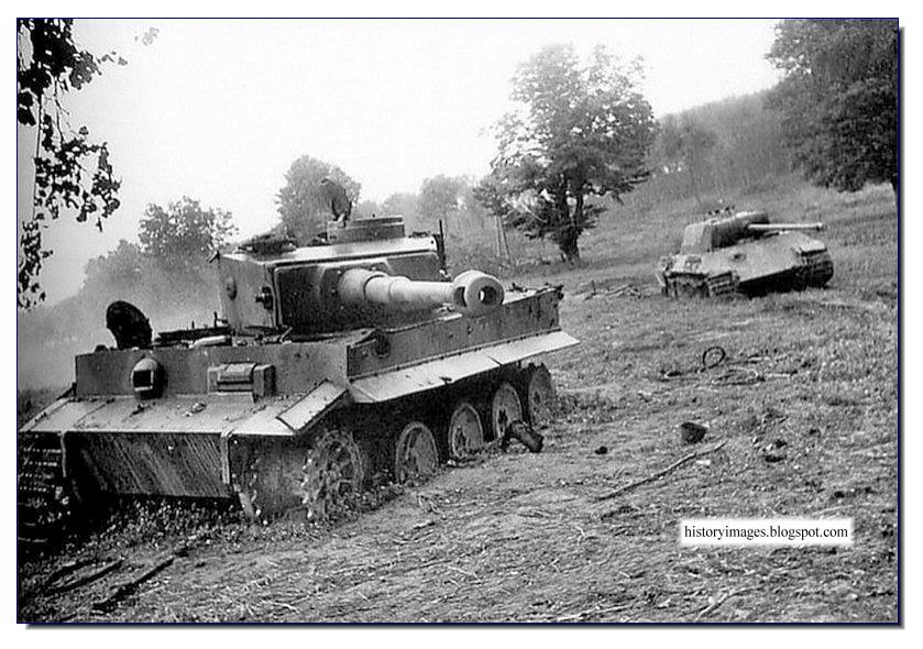 Two destroyed Panzers lying in a field in Belarus [790X525] : r ...
