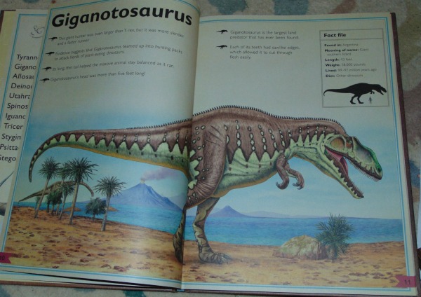 Review: The Magnificent Book of Dinosaurs - A Net in Time