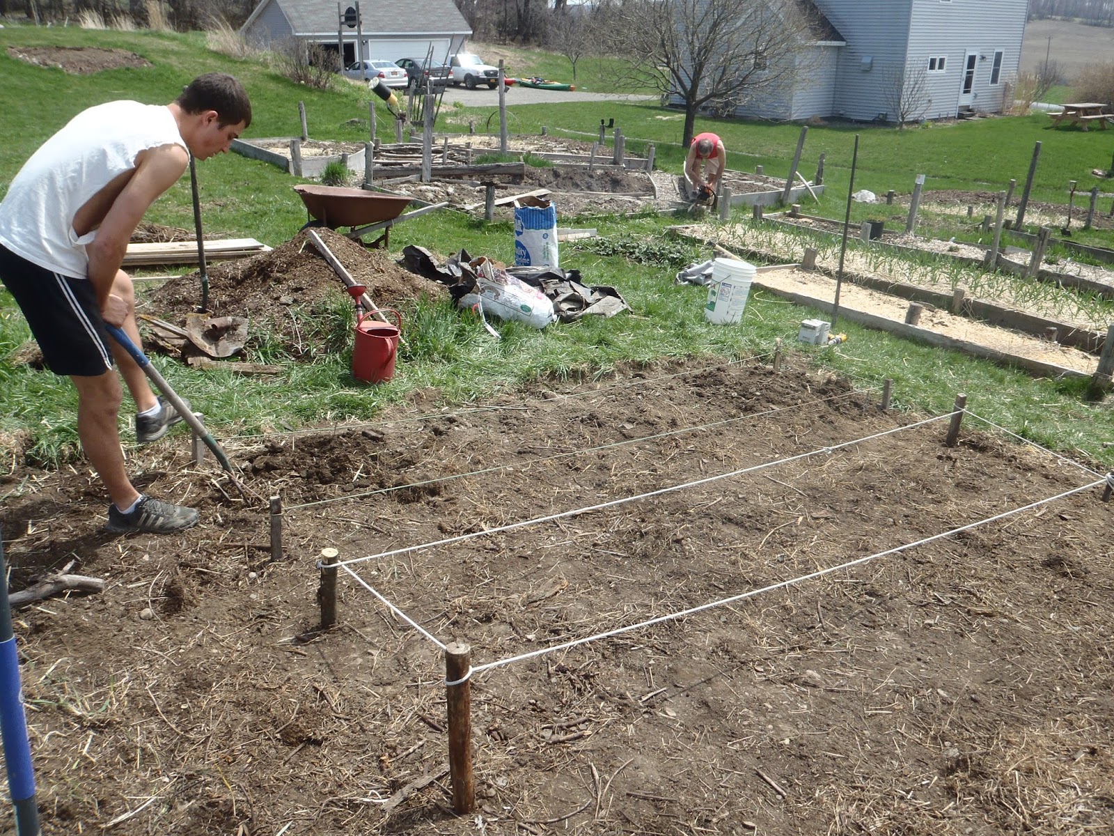 Have You Ever Picked A Carrot?: Home Garden Plot Part I: Use what you got