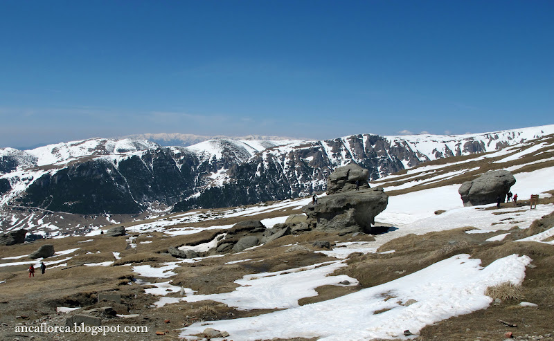 destinatiidevacanta.blogspot.com: Buşteni - Babele, Sfinxul - Platoul ...