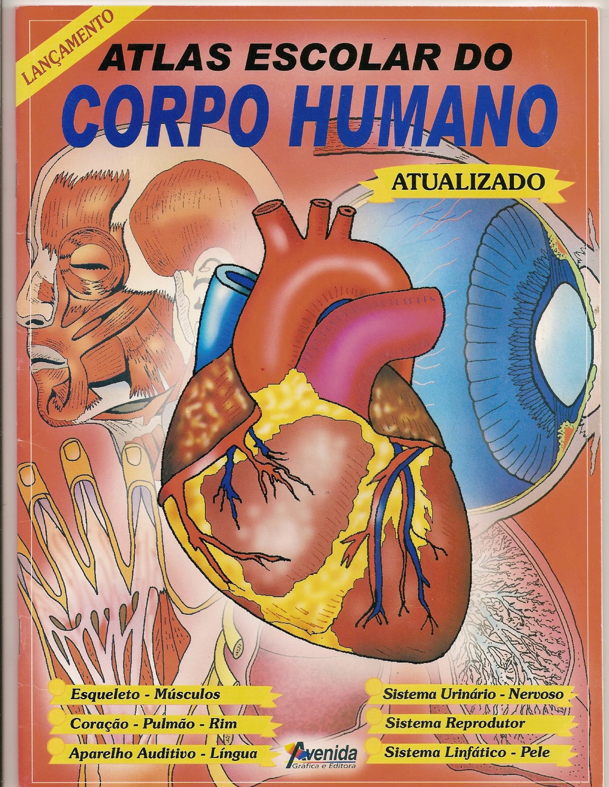 Atlas Do Corpo Humano Pdf Completo - NAZAEDU
