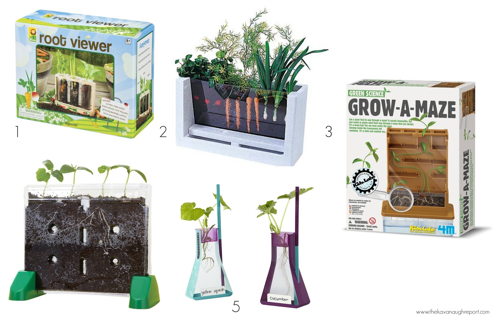 Spring Project - A Root Viewer | The Kavanaugh Report