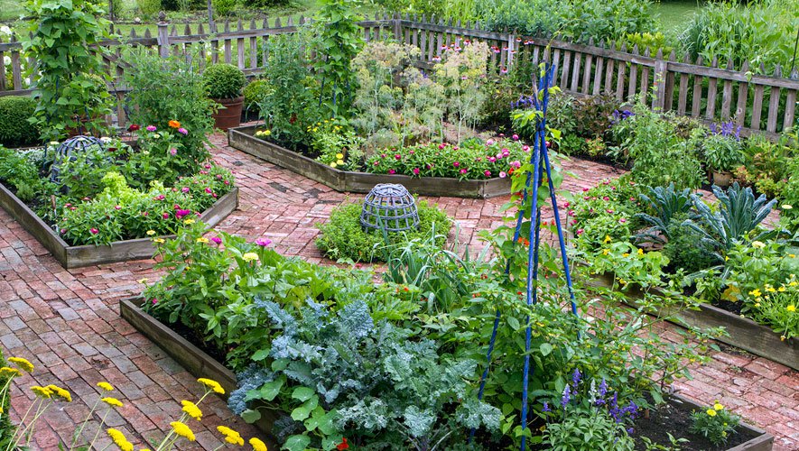 Le Petit Chateau: designing a potager