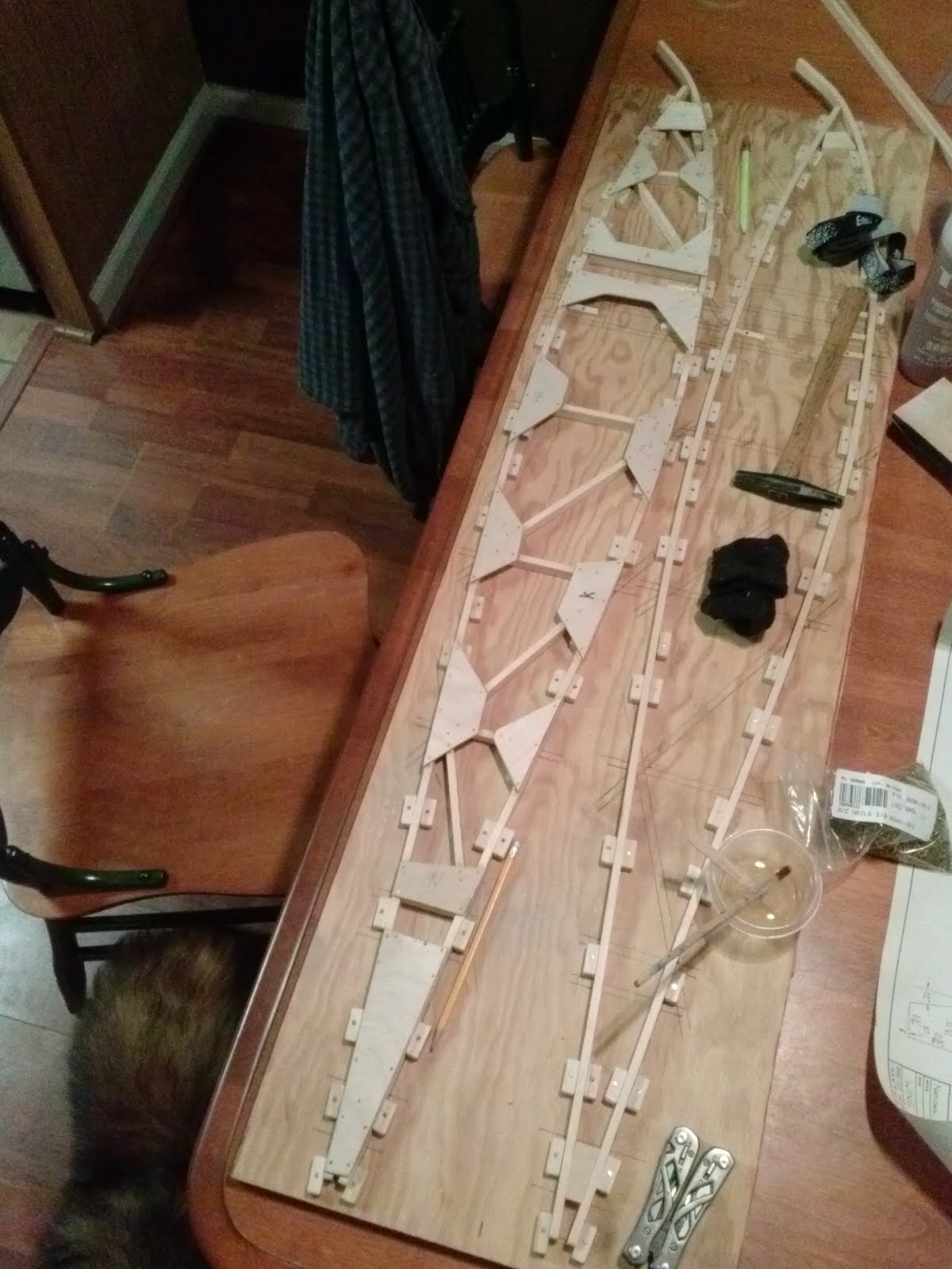 Aarons Cassutt builders blog