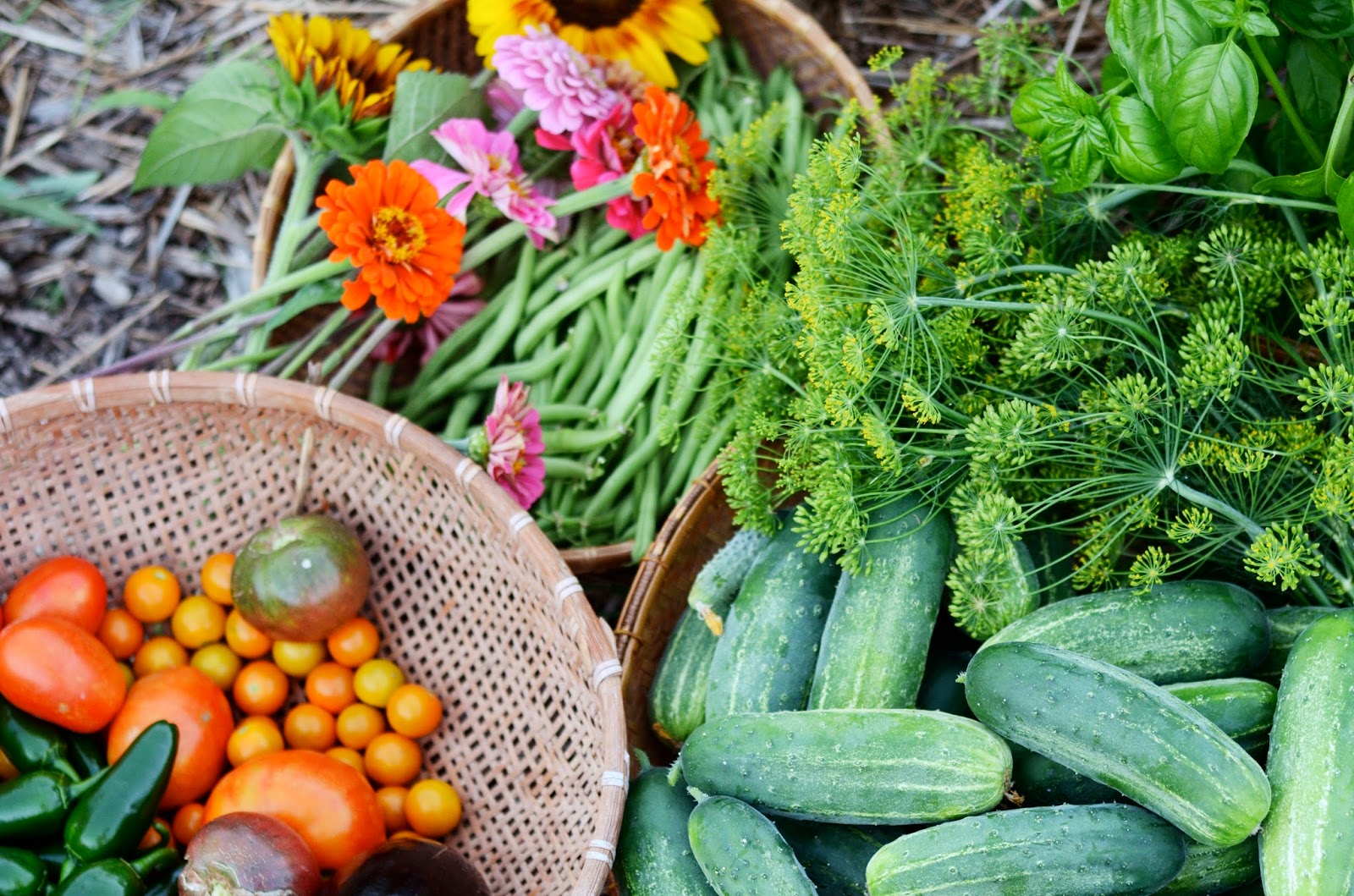 natalie creates: farmhouse ec series: canning & preserving workshop at ...