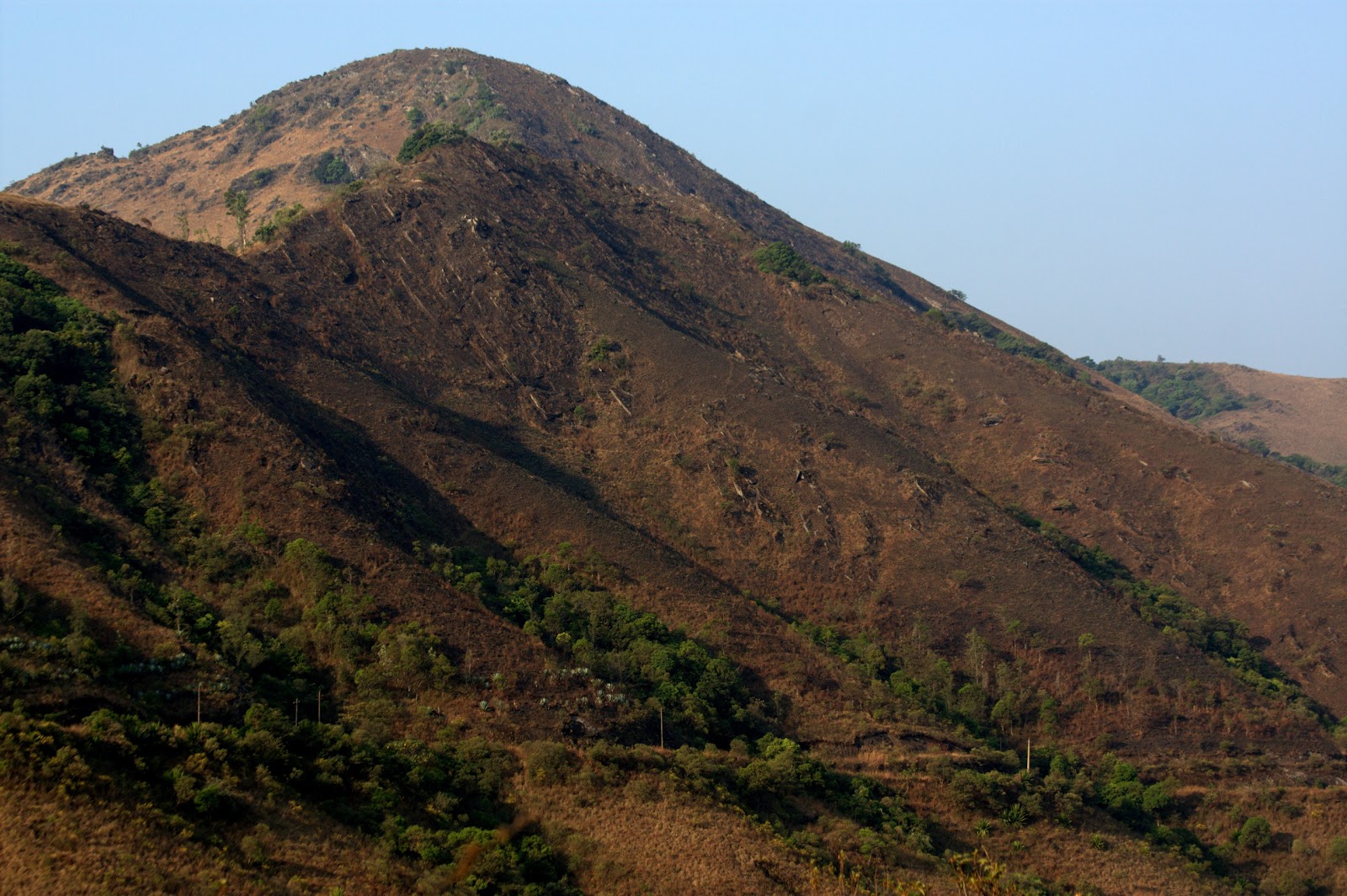 POORNA PRAJNA: Muthodi Forest and Mulliyangiri