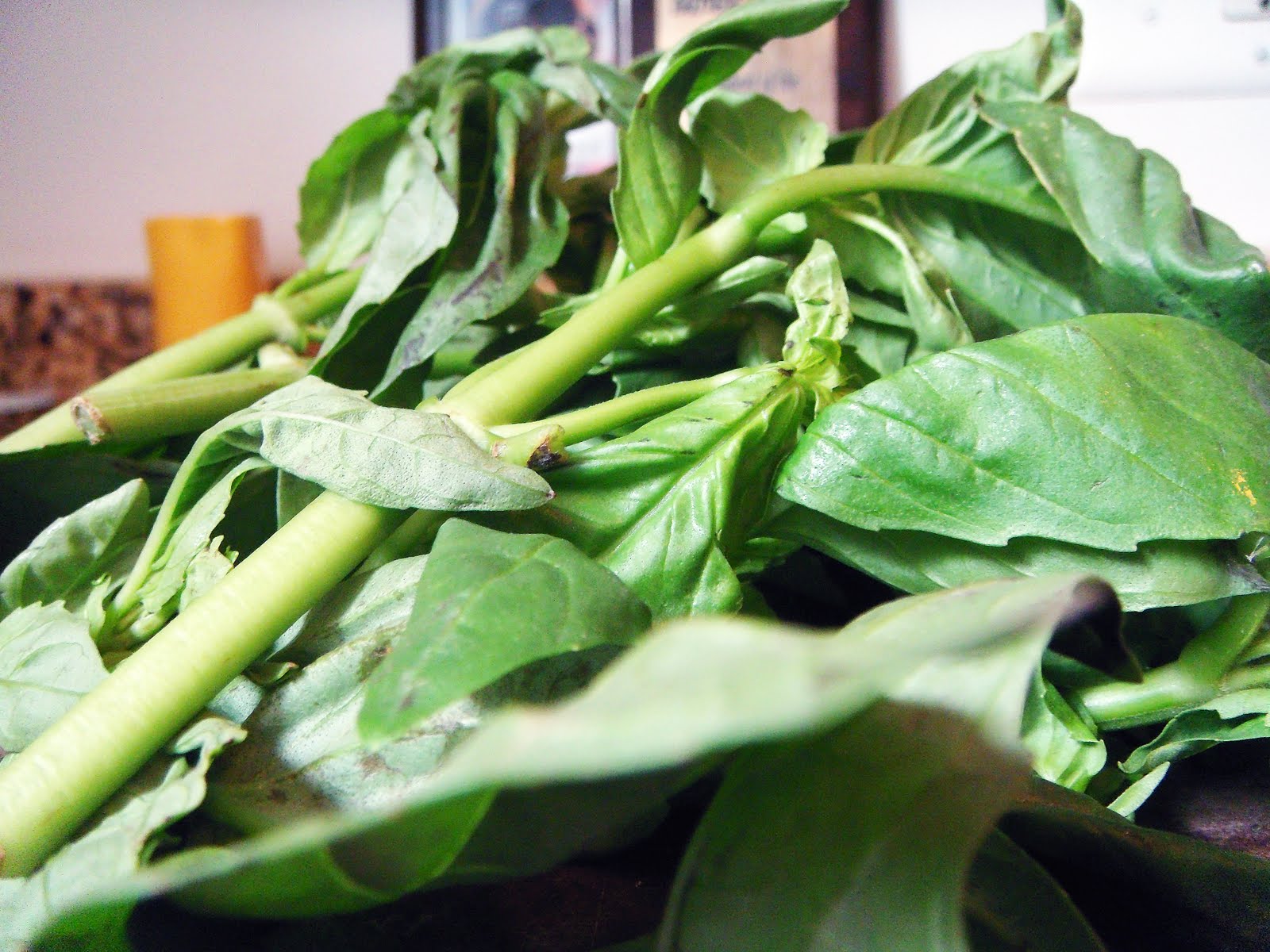 tomato, basil and mozarella appetizer