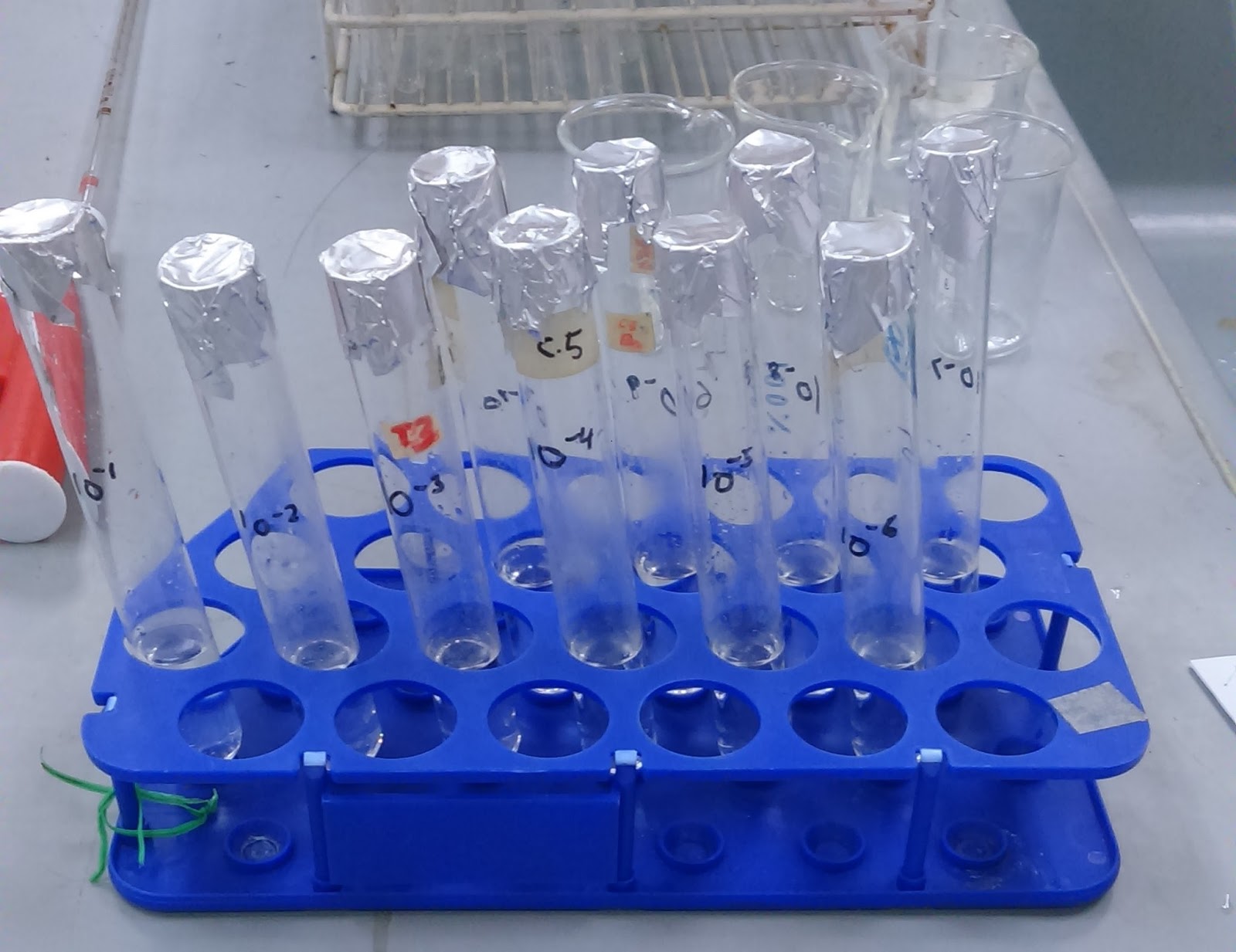 Floratic: ISOLATION OF MICROALGAE