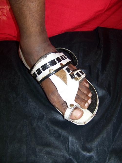 WILD KINGDOM: OUTSIDE OF AFRICA