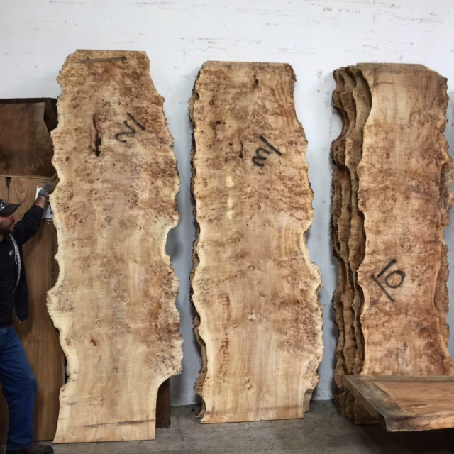 Tropical Exotic Hardwoods: Mappa Burl slabs now out in showroom! (We know many of you have been ...
