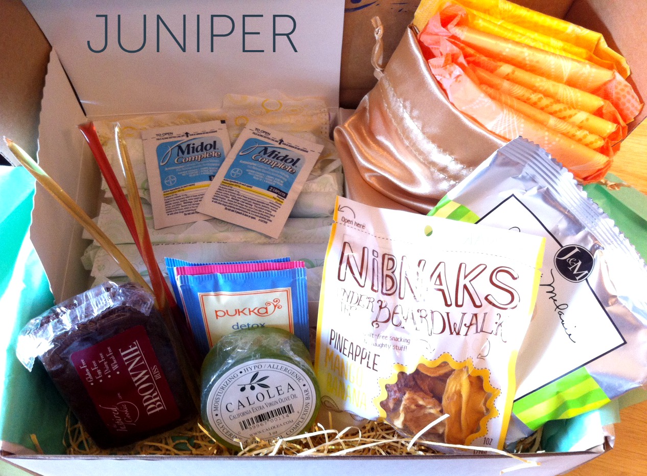 Tickled Pink in the Rain: Juniper June Box Review - T.O.M Subscription