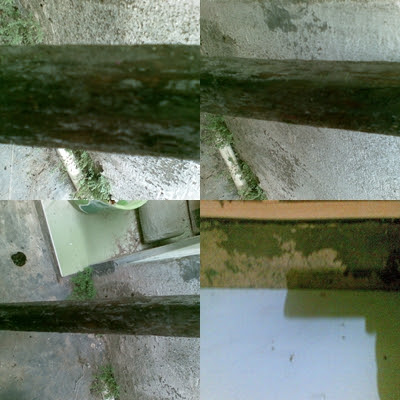 Cacat Pada Kayu - Dhadho.Smanda