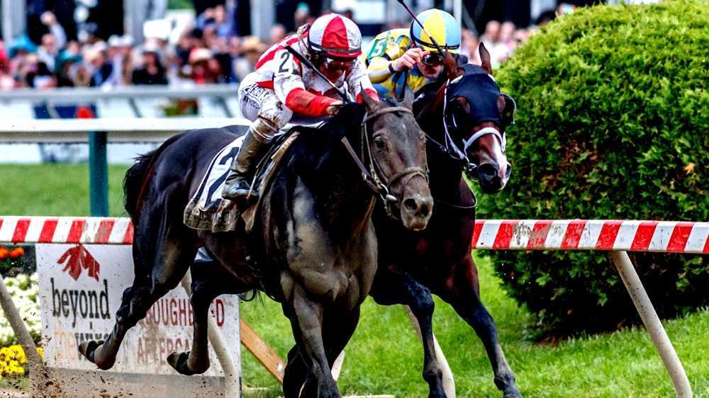 Cloud Computing (horse)