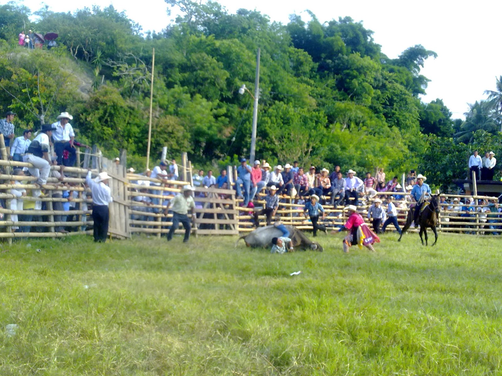 COMUNICANDO A PUEBLILLO Y EL LLANO PAPANTECO: ASÍ SE VIVIÓ LA FIESTA ...
