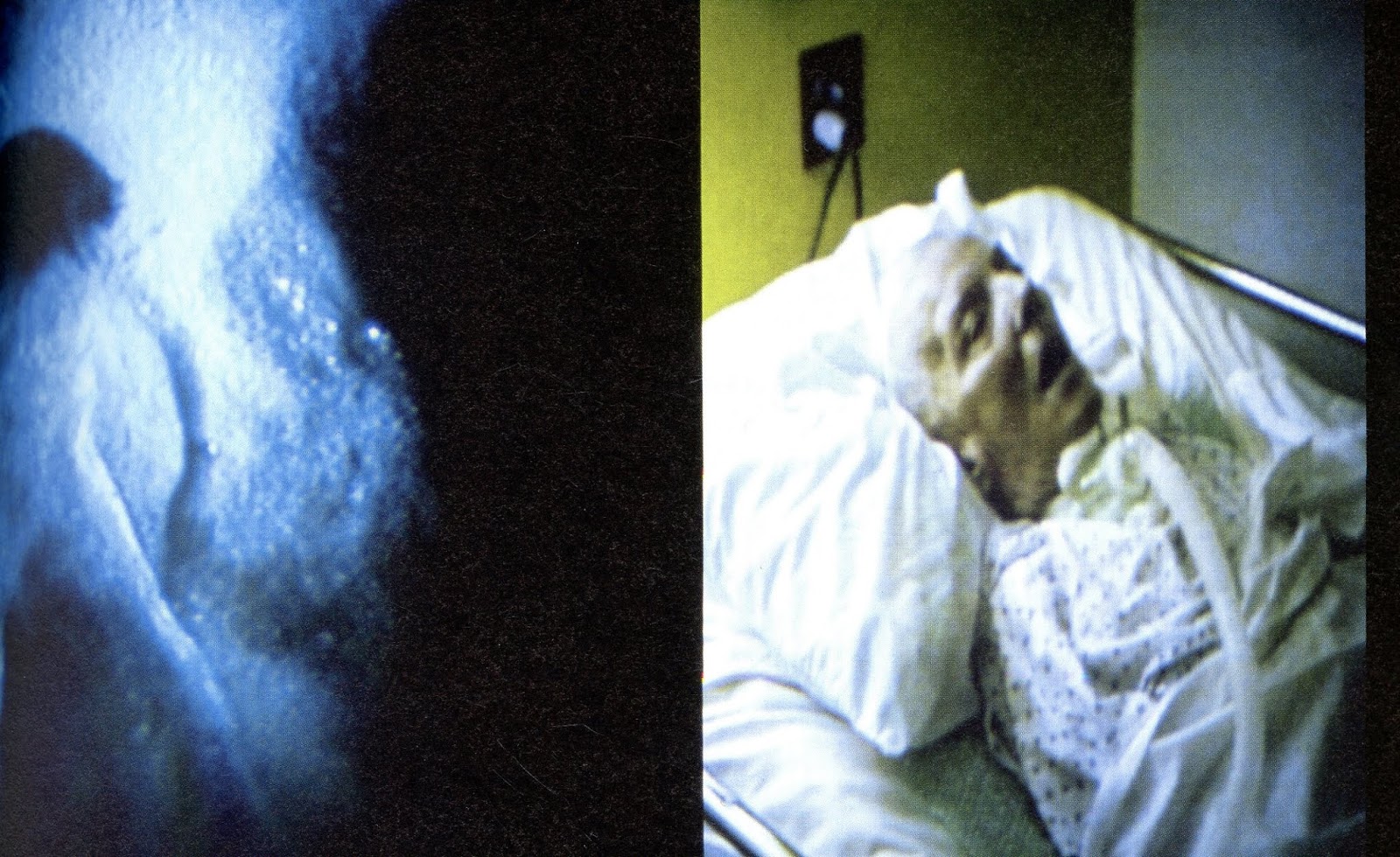 triantafyllou giorgos architect