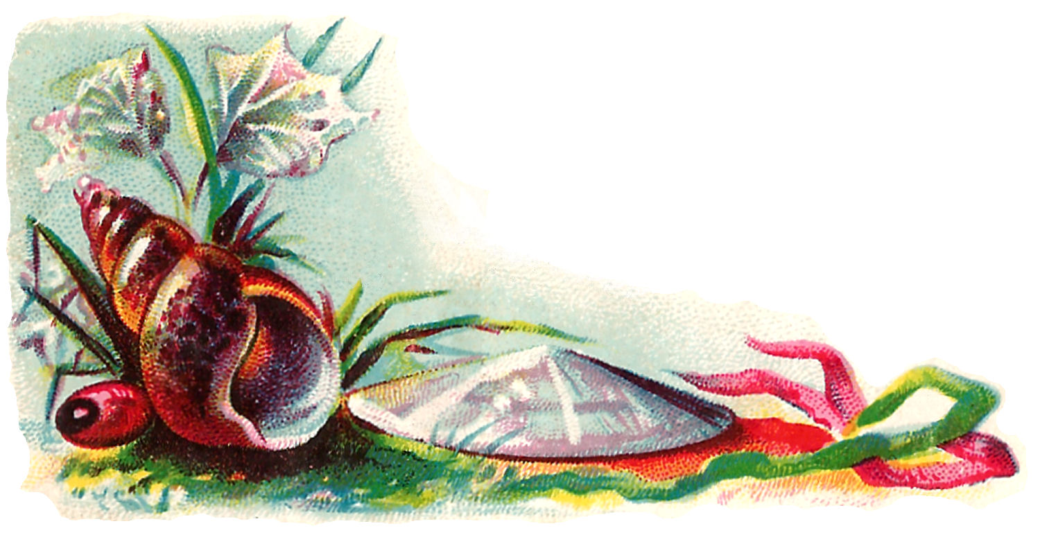 Vintage Corner Design Elements