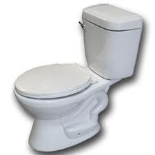 El inodoro. Elemento sanitario imprescindible.|Bueno Saber