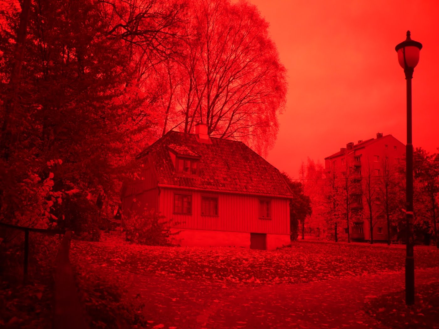 Micro 4/3rds Photography: Distorted images