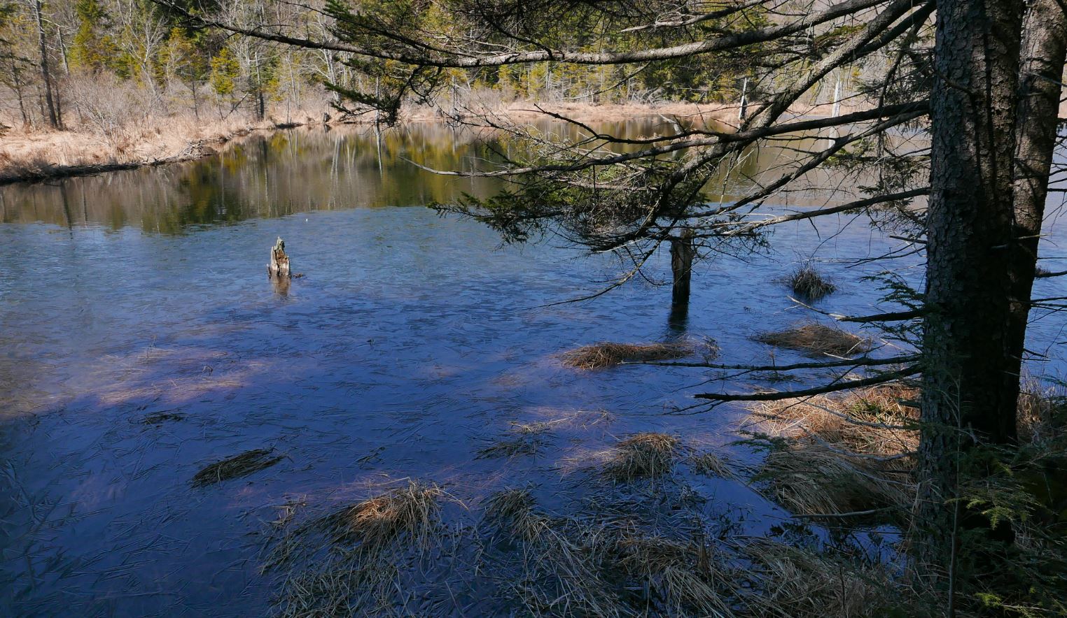 A Little Wild: County Line Lake
