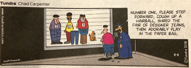 Mystery Fanfare: Cartoon of the Day: The Line-Up