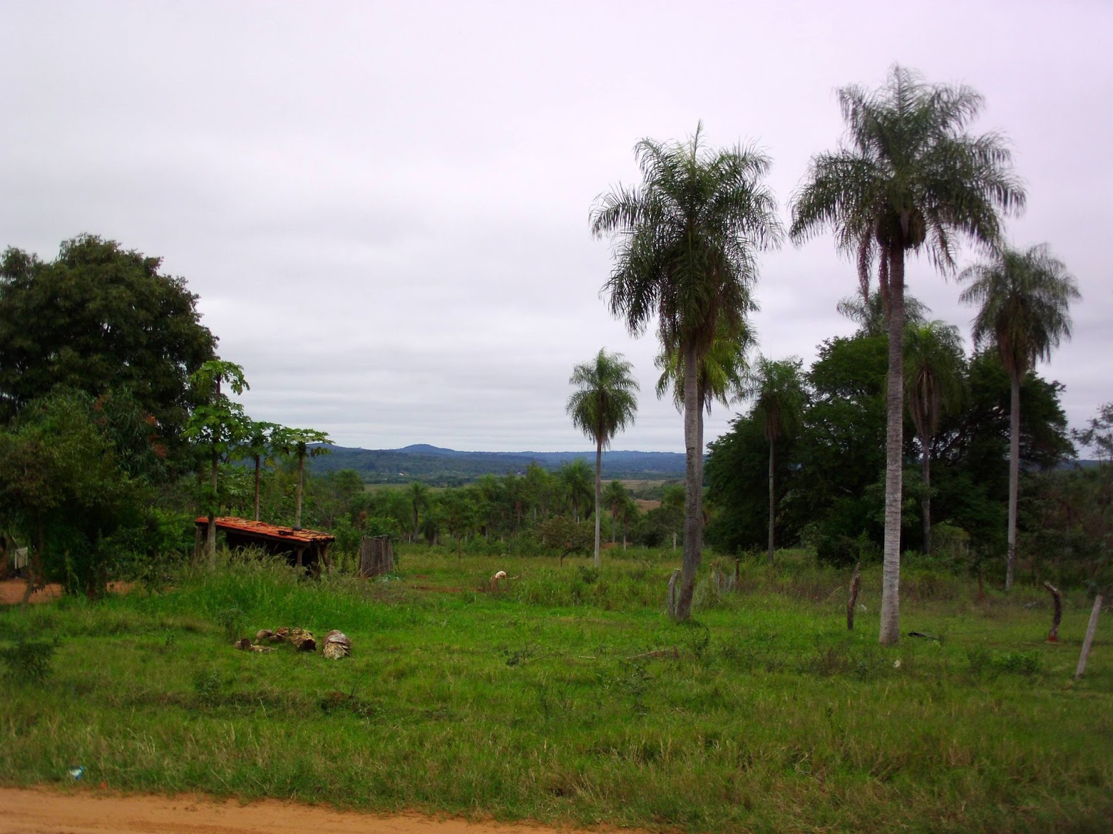 Cabana-Frankonia: Sommer in Deutschland - Winter in Paraguay
