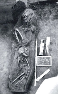 Kennewick Man And The Native American Graves Protection And ...