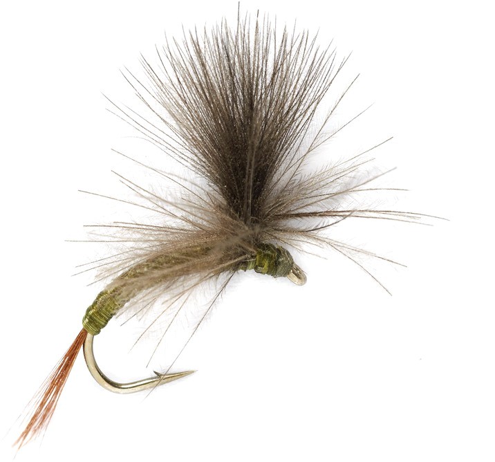 Jim Lees' Essential Fly Patterns for April!