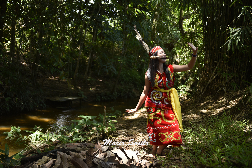 Sosiologi Kehutanan: MASYARAKAT ADAT DAYAK DAN PERANANNYA TERHADAP HUTAN