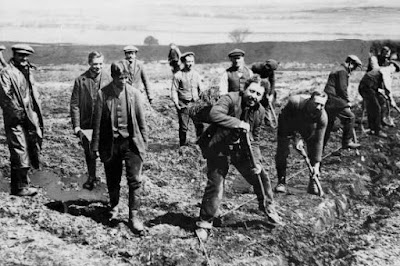 ART and ARCHITECTURE, mainly: What happened to pacifists in WW1?