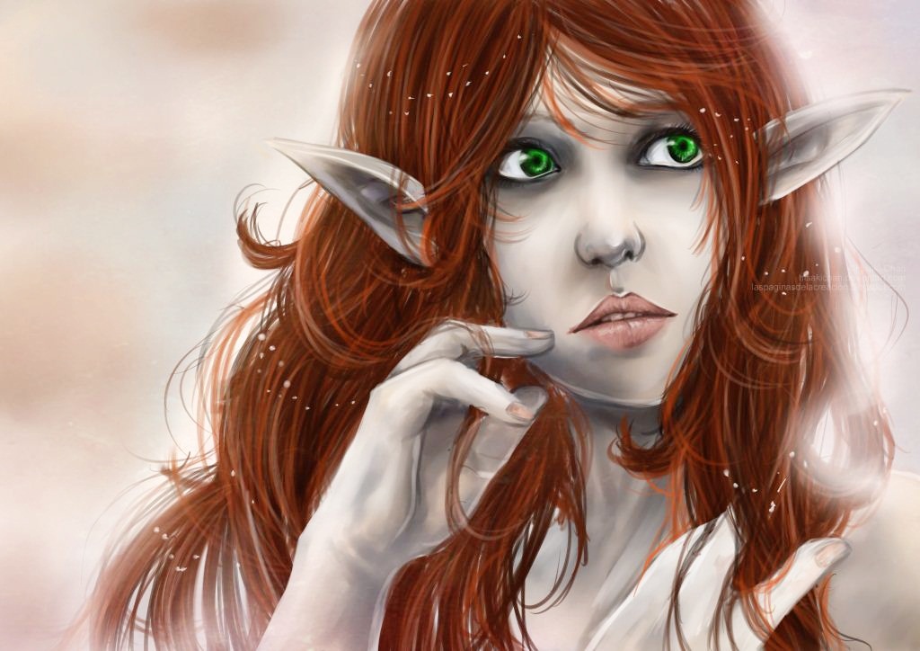 Mili Koey - Blog: Elfa!