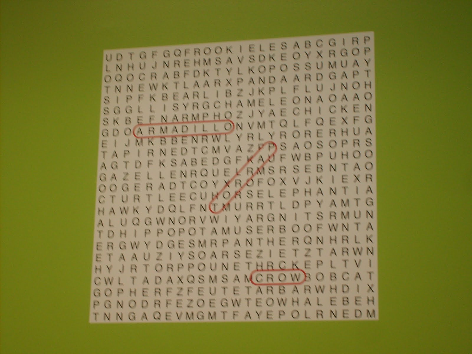 Craft Critters: Word Search Wall Art