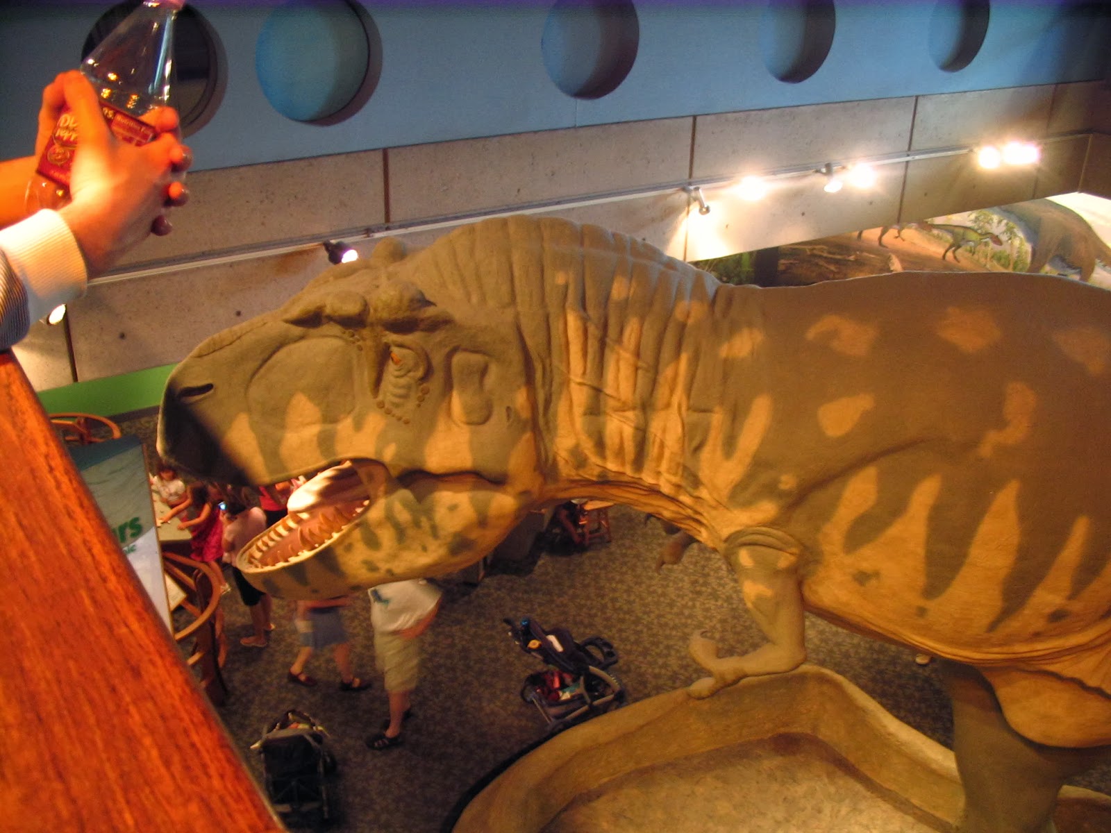 What happens when a non-accredited paleontology fan blogs: An overview ...